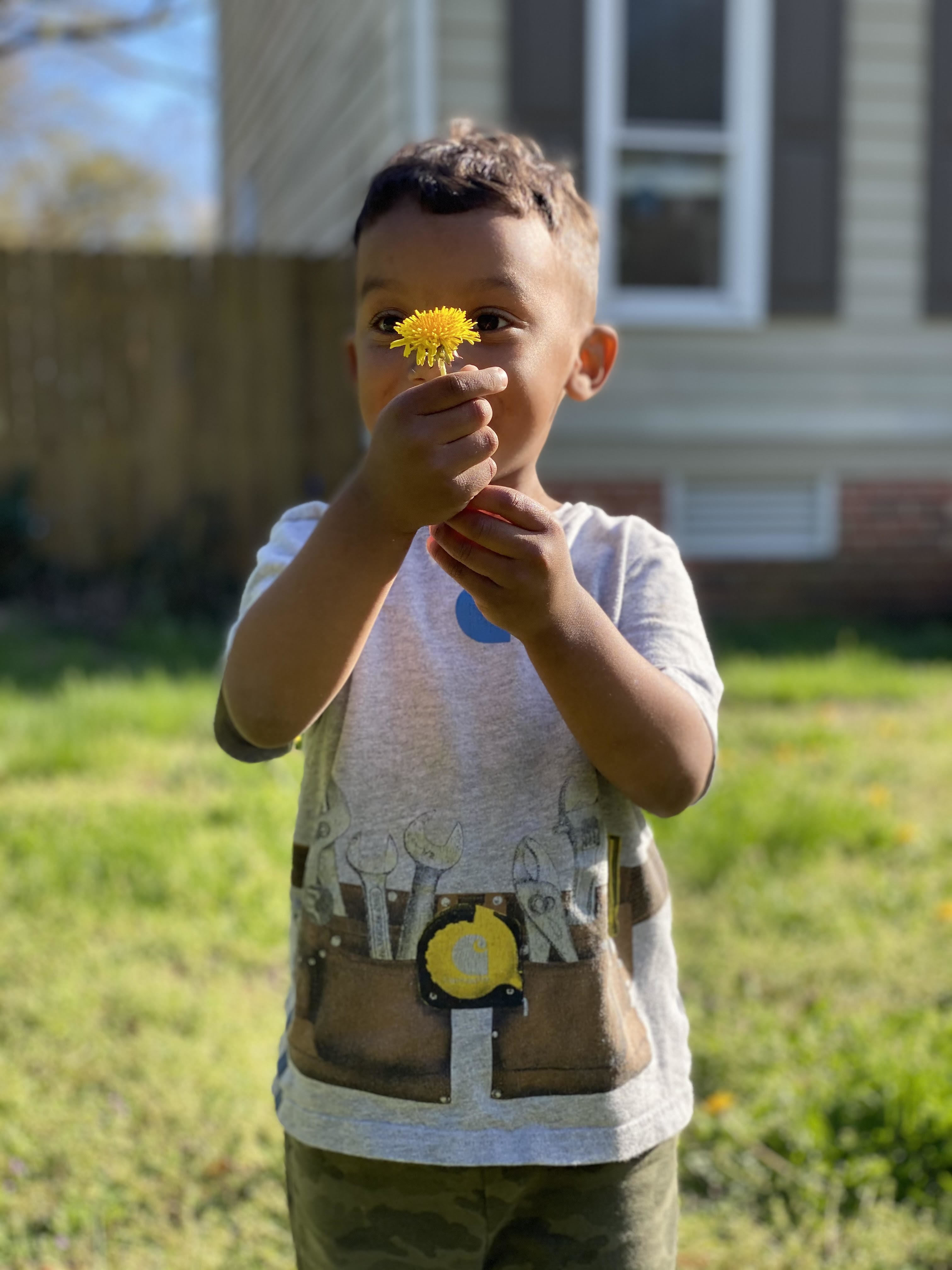 Save the Dandelions (and the Bees!) - Tinkergarten outdoor activities ...