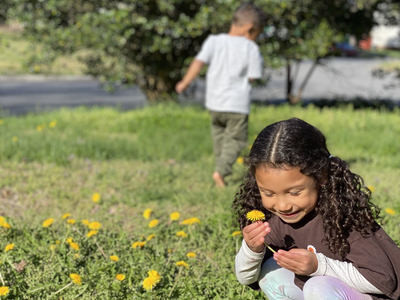 Save the Dandelions (and the Bees!) - Tinkergarten outdoor activities ...