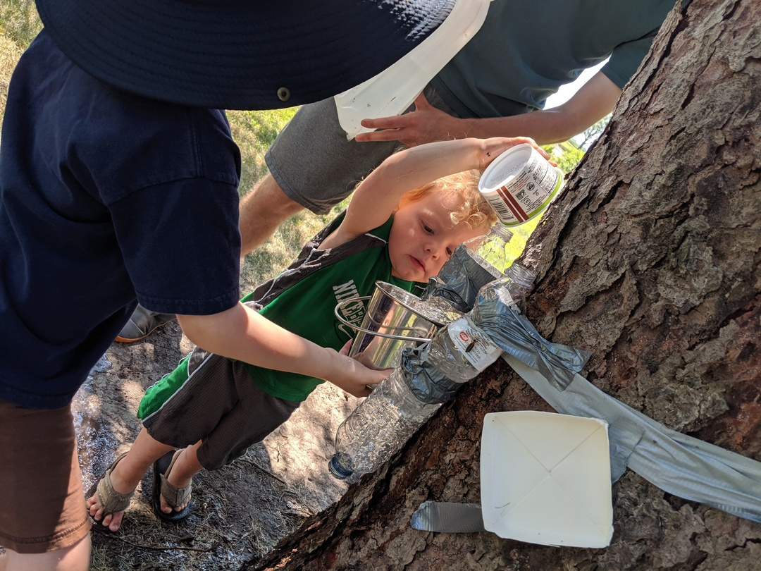 Build a Water Run - Tinkergarten outdoor activities where kids learn ...